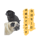 もんぐー | LINEスタンプ | mon＆ponta